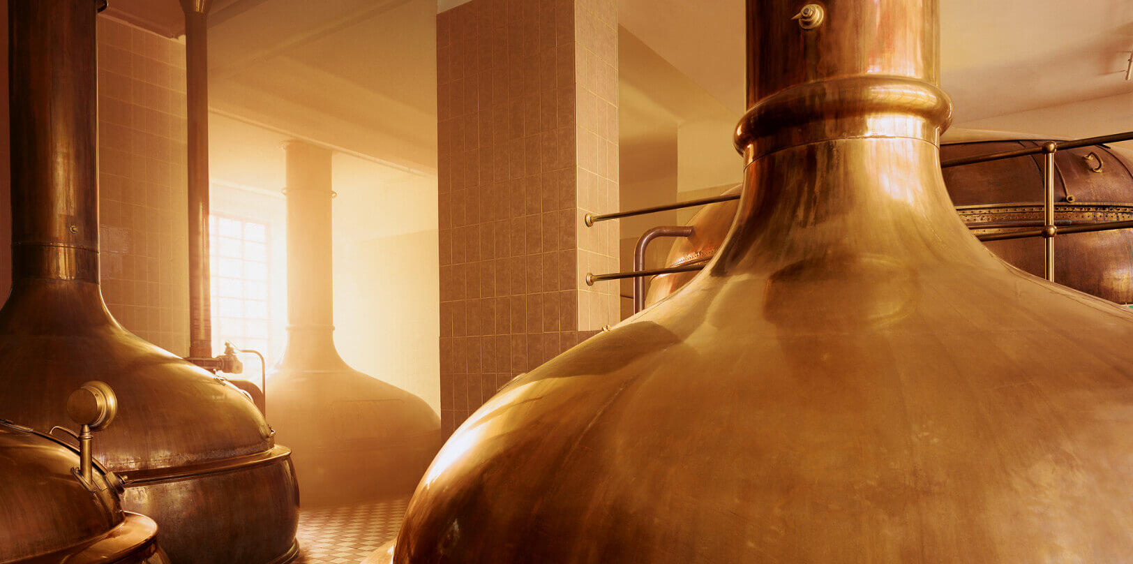 Kulmbacher Edelherb | Echter Pilsgenuss mit und ohne Alkohol